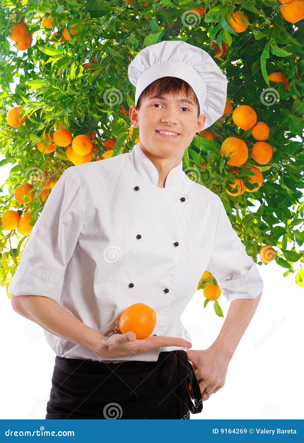 Kok stock afbeelding. Image of boom, leuk, glimlachen - 9164269