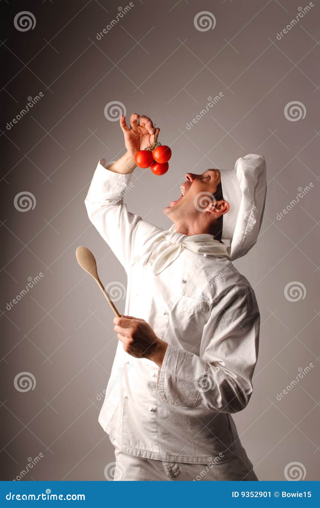 Kok stock afbeelding. Image of knap, achtergrond, creatief - 9352901