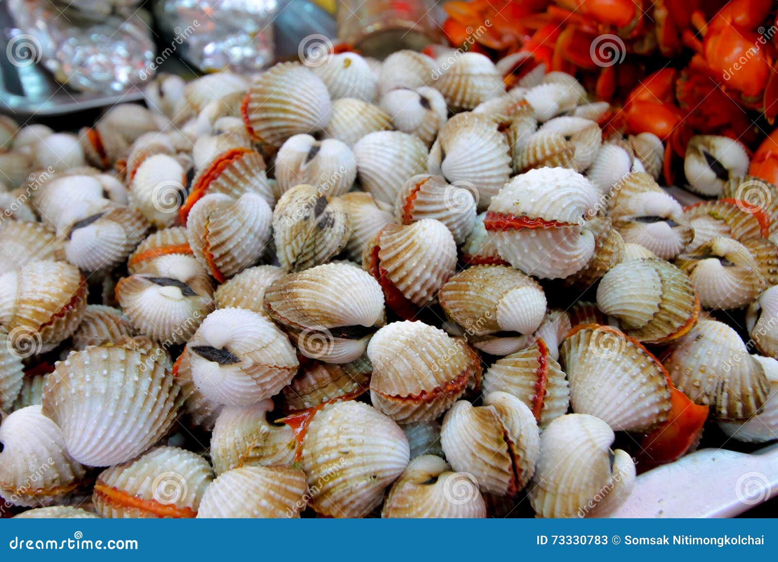 Kokkel Een Eetbaar, Burrowing Tweekleppig Weekdier Met Sterke Geribbeld ...