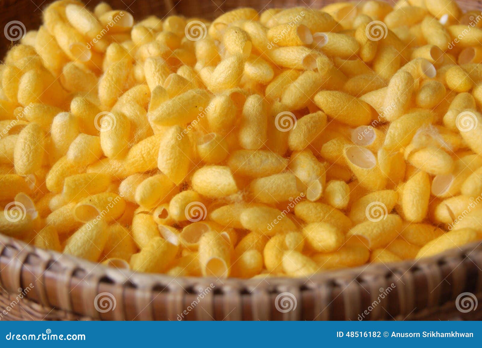 Kokong arkivfoto. Bild av kokonger, bruk, guld, kokong - 48516182