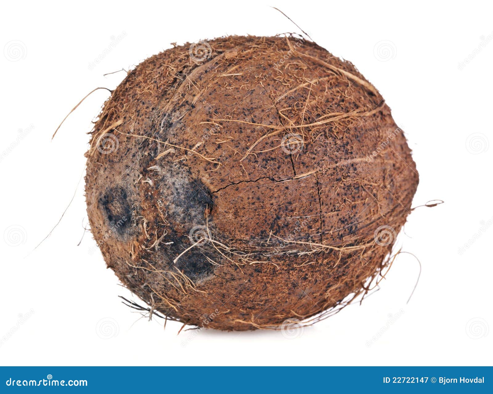 Kokosnoot stock afbeelding. Image of drank, gegevens - 22722147