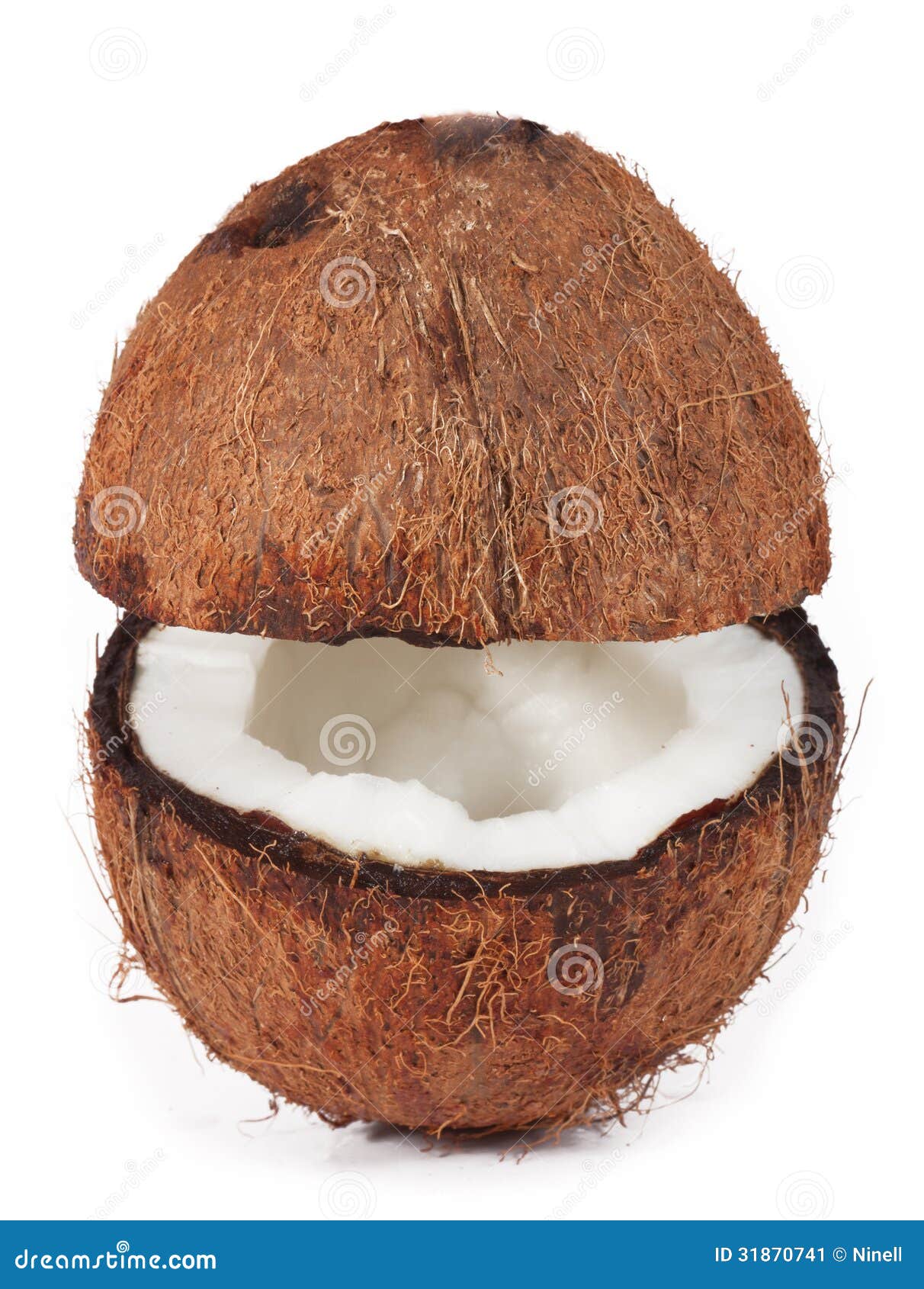 Kokosnoot stock afbeelding. Image of vlees, voorwerp - 31870741