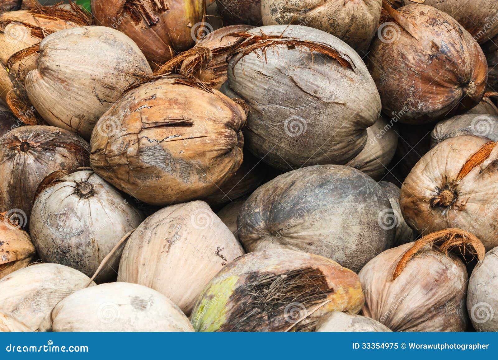 Kokosnoot stock afbeelding. Image of nave, tropisch, aromatherapie ...