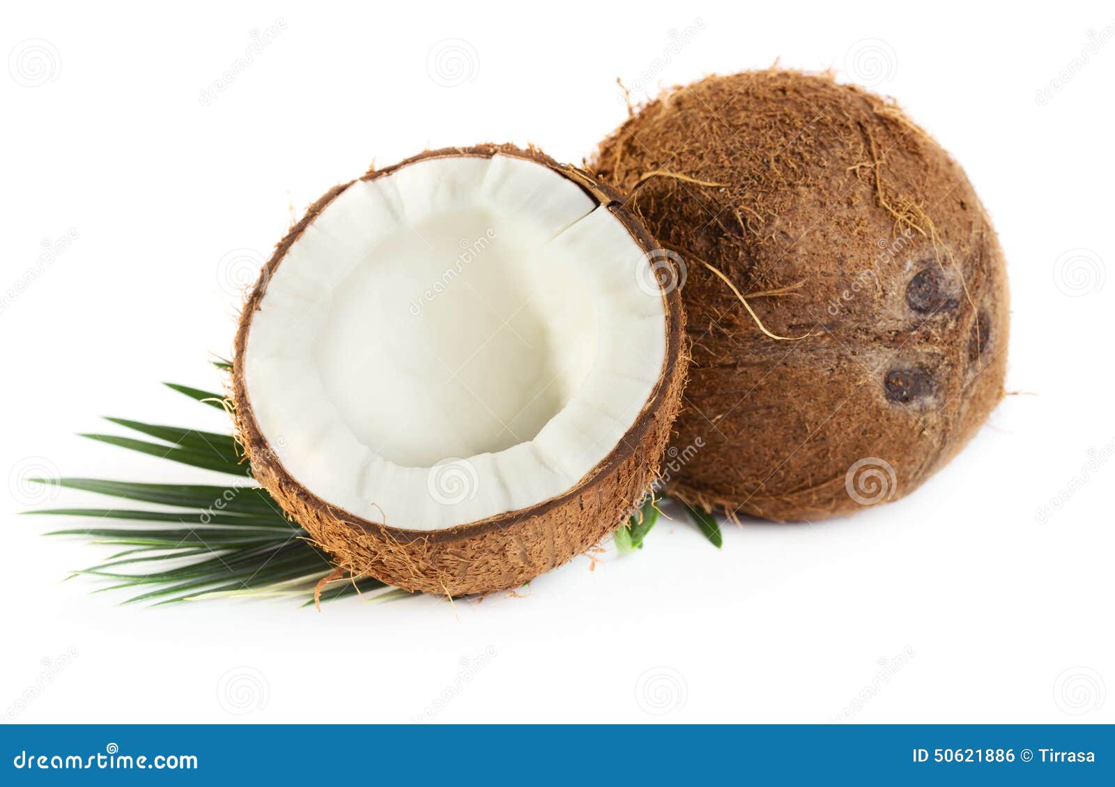 Kokosnoot stock foto. Image of volledig, nave, geïsoleerd - 50621886