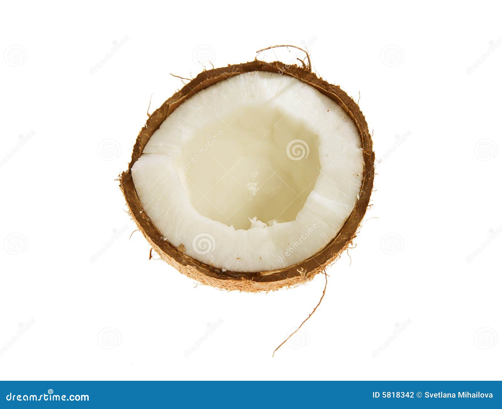 Kokosnoot Picture. Image: 5818342