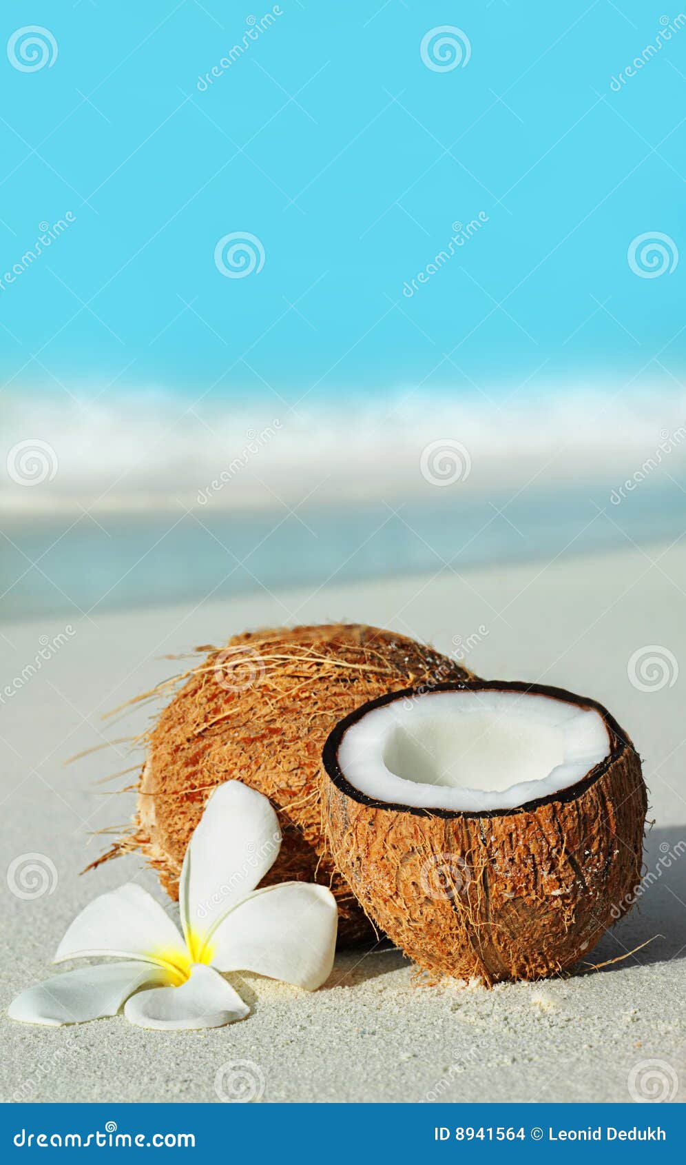 Kokosnoot stock foto. Image of overzees, voedsel, tropisch - 8941564