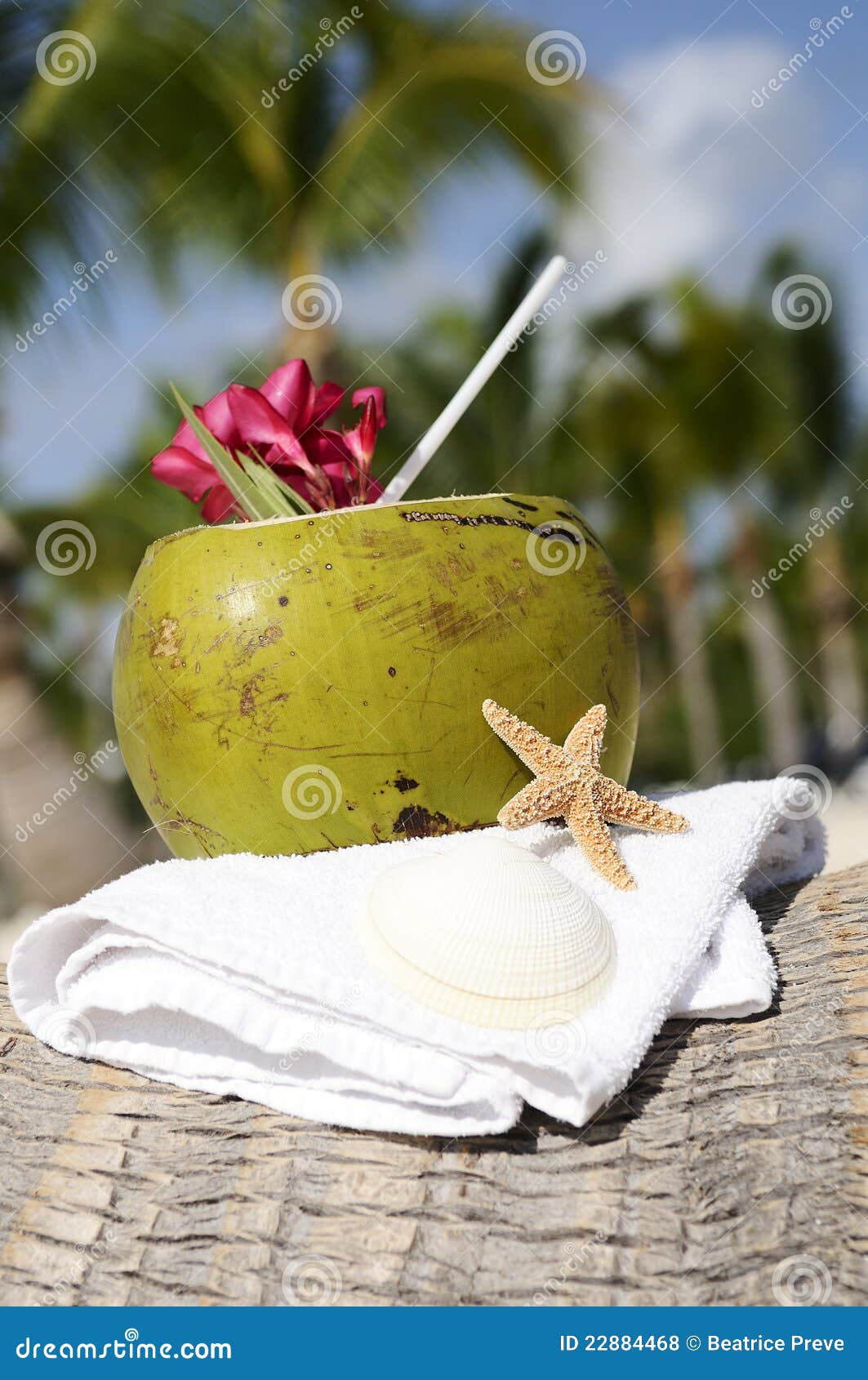 Kokosnoten op het strand stock foto. Image of vrucht - 22884468