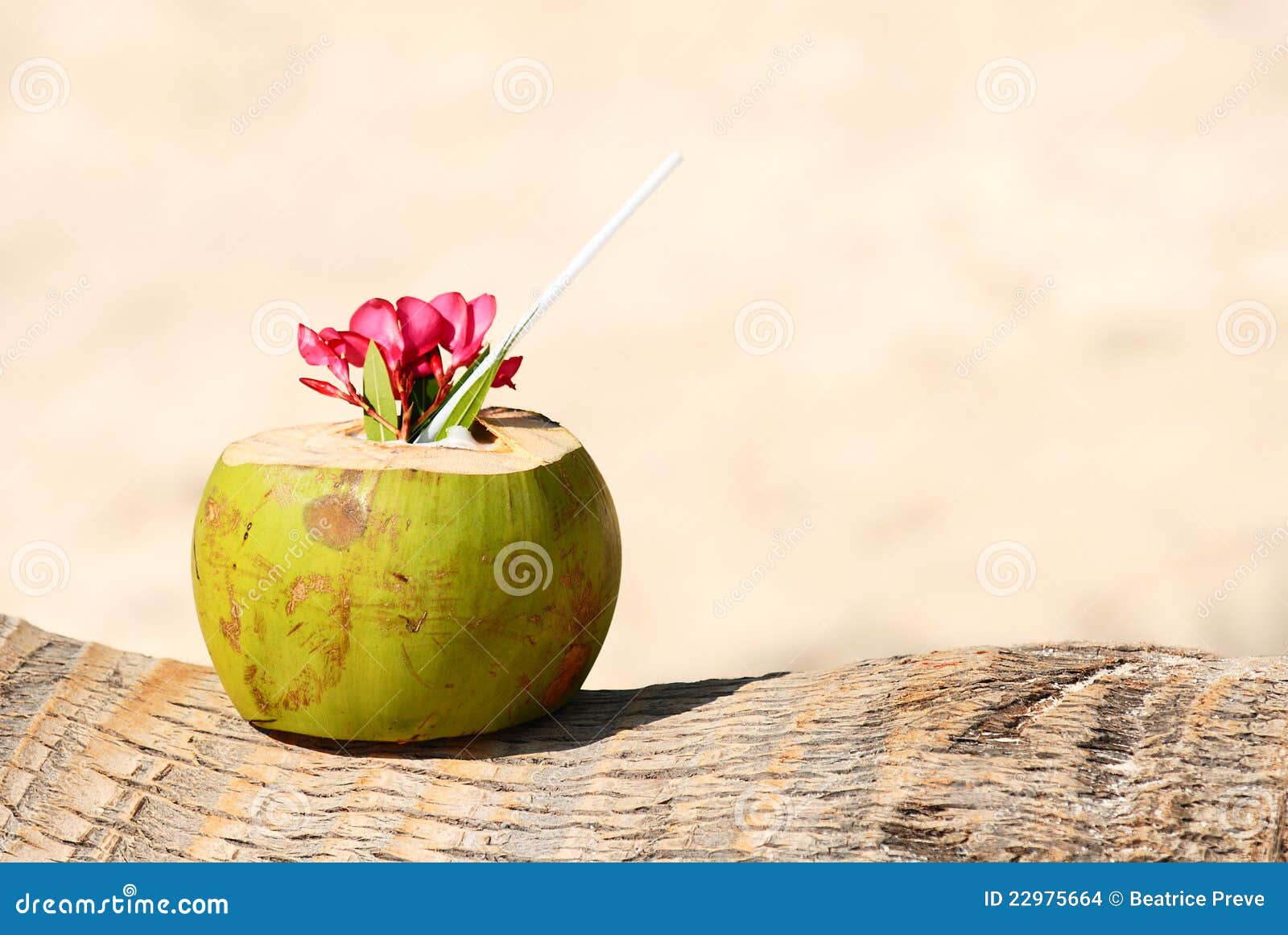 Kokosnoten op het strand stock foto. Image of vrucht - 22975664