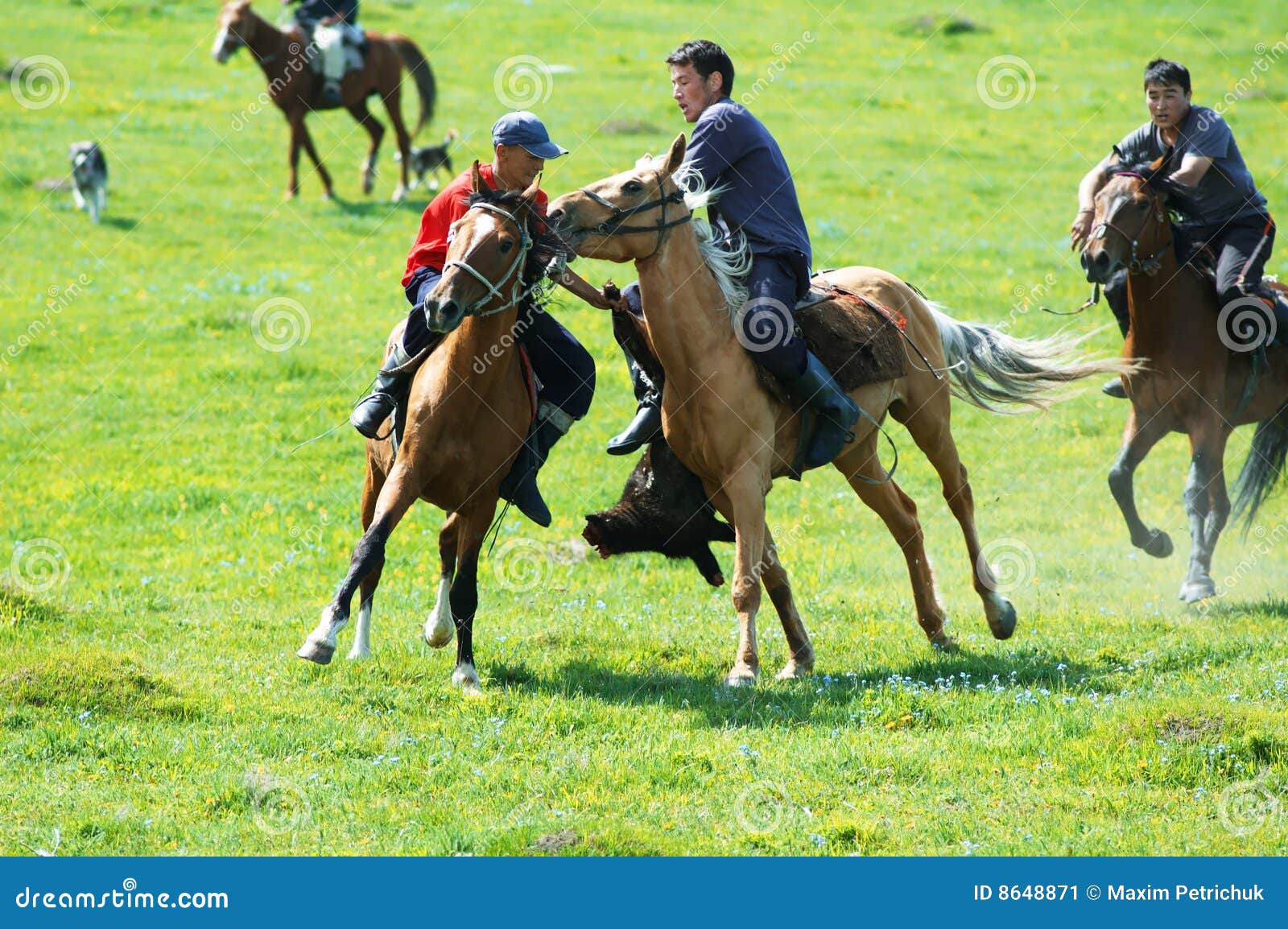 Kokpar - Traditional Nomad Horses Competitions Editorial Photo - Image ...