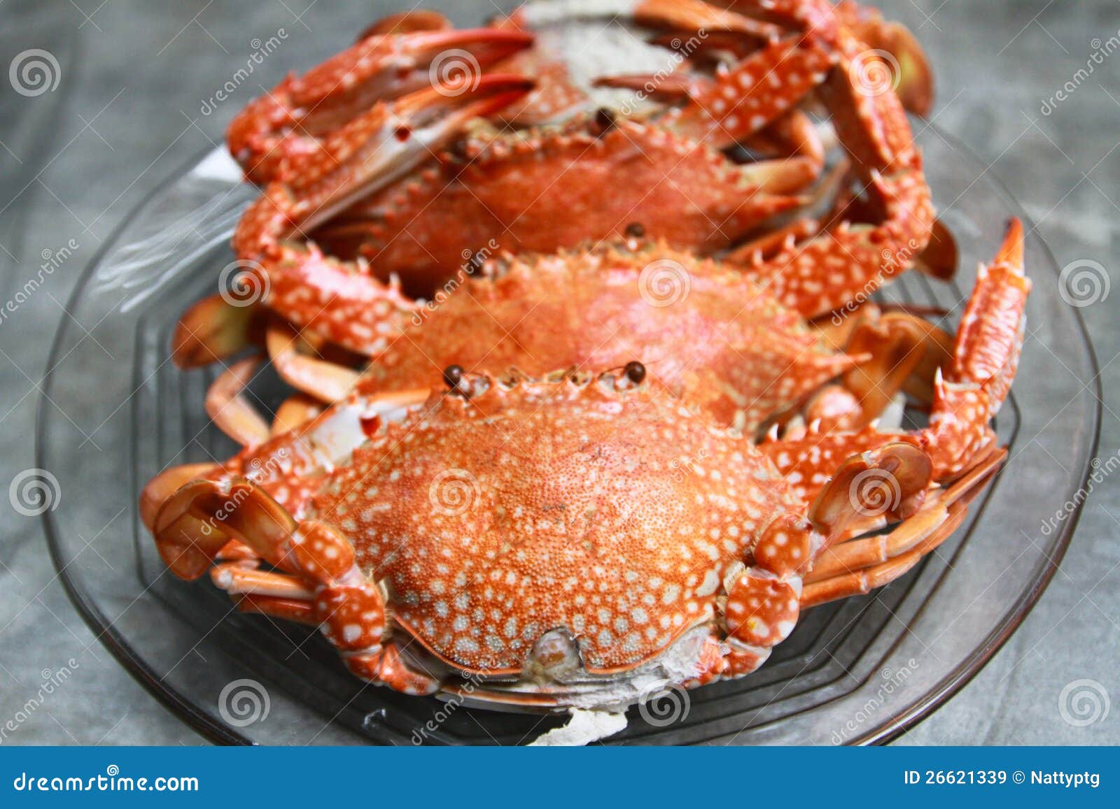 Kokt krabba fotografering för bildbyråer. Bild av maträtt - 26621339