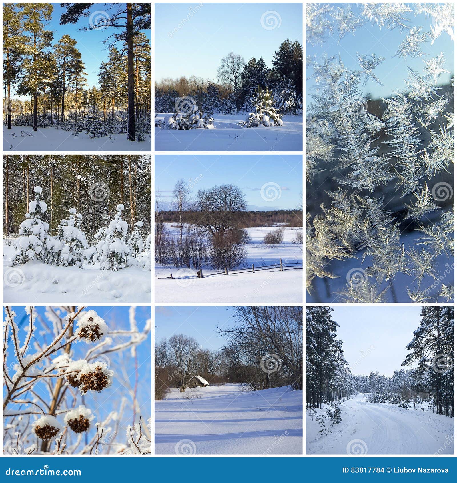 Kolaż piękna zima zdjęcie stock. Obraz złożonej z tajemniczy - 83817784