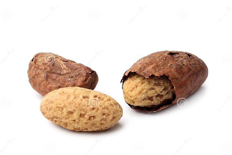 Kola nuts stock image. Image of close, flavor, bean, delight - 55337705