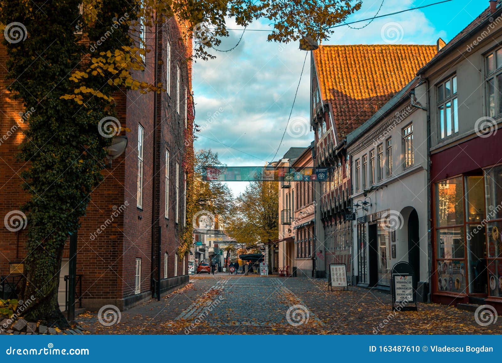 Kolding city in Denmark editorial image. Image of buildings - 163487610