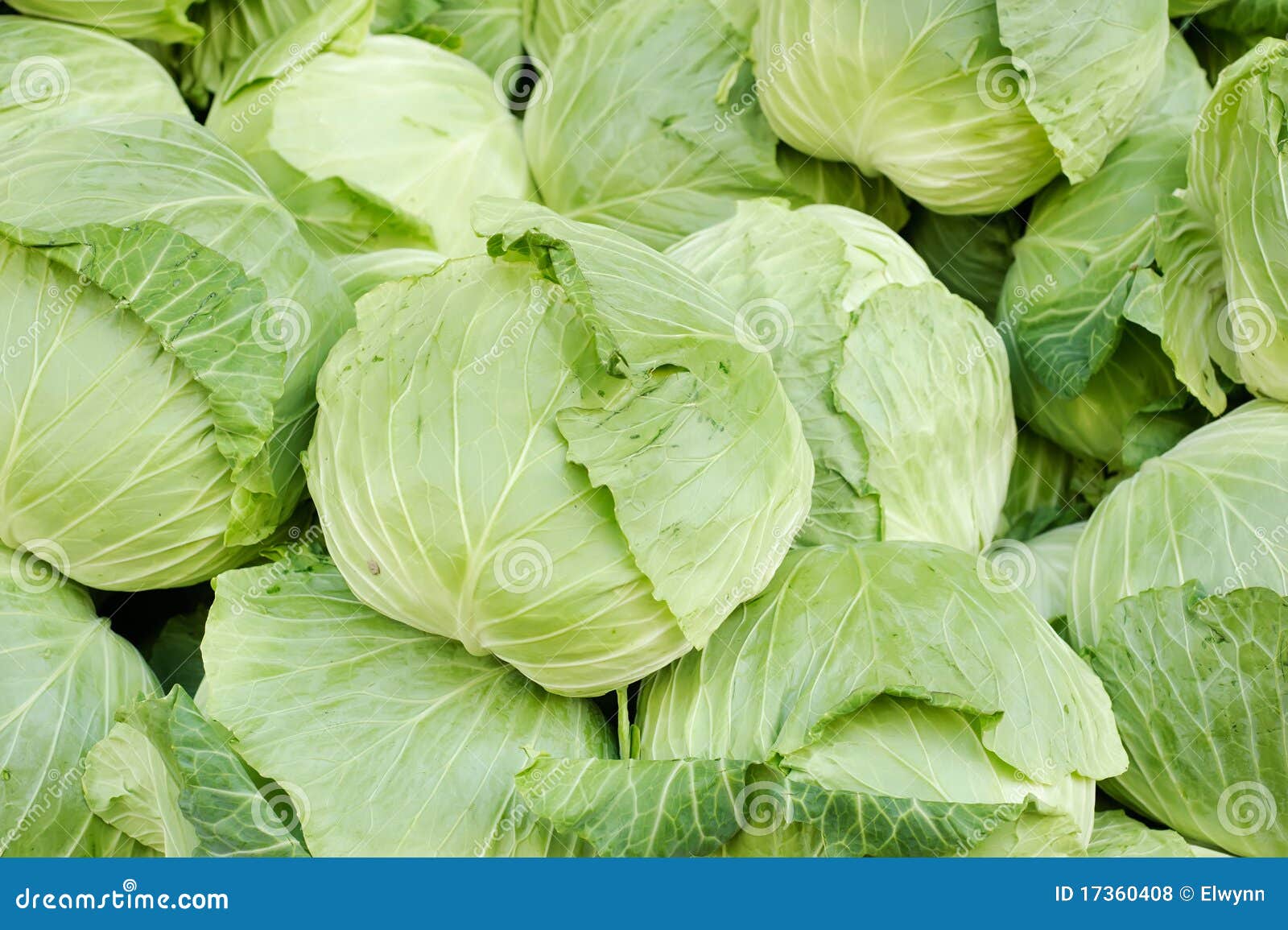 Kolen stock foto. Image of organisch, volledig, achtergrond - 17360408