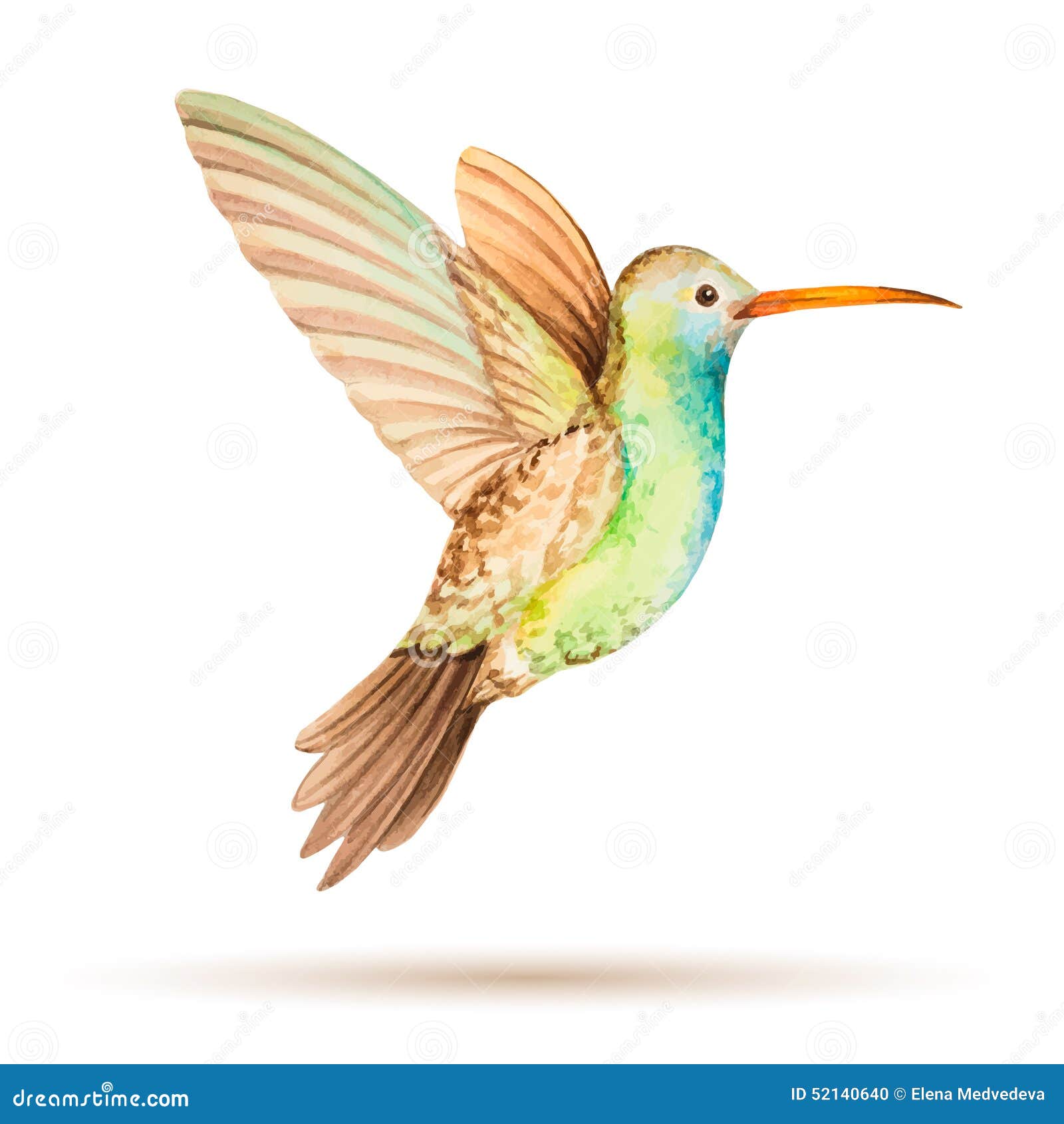 Kolibrie vector illustratie. Illustration of humor, kolibrie - 52140640