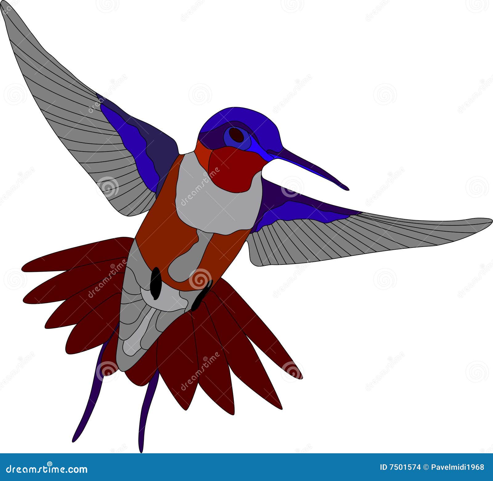 Kolibrie vector illustratie. Illustration of vliegen, patroon - 7501574