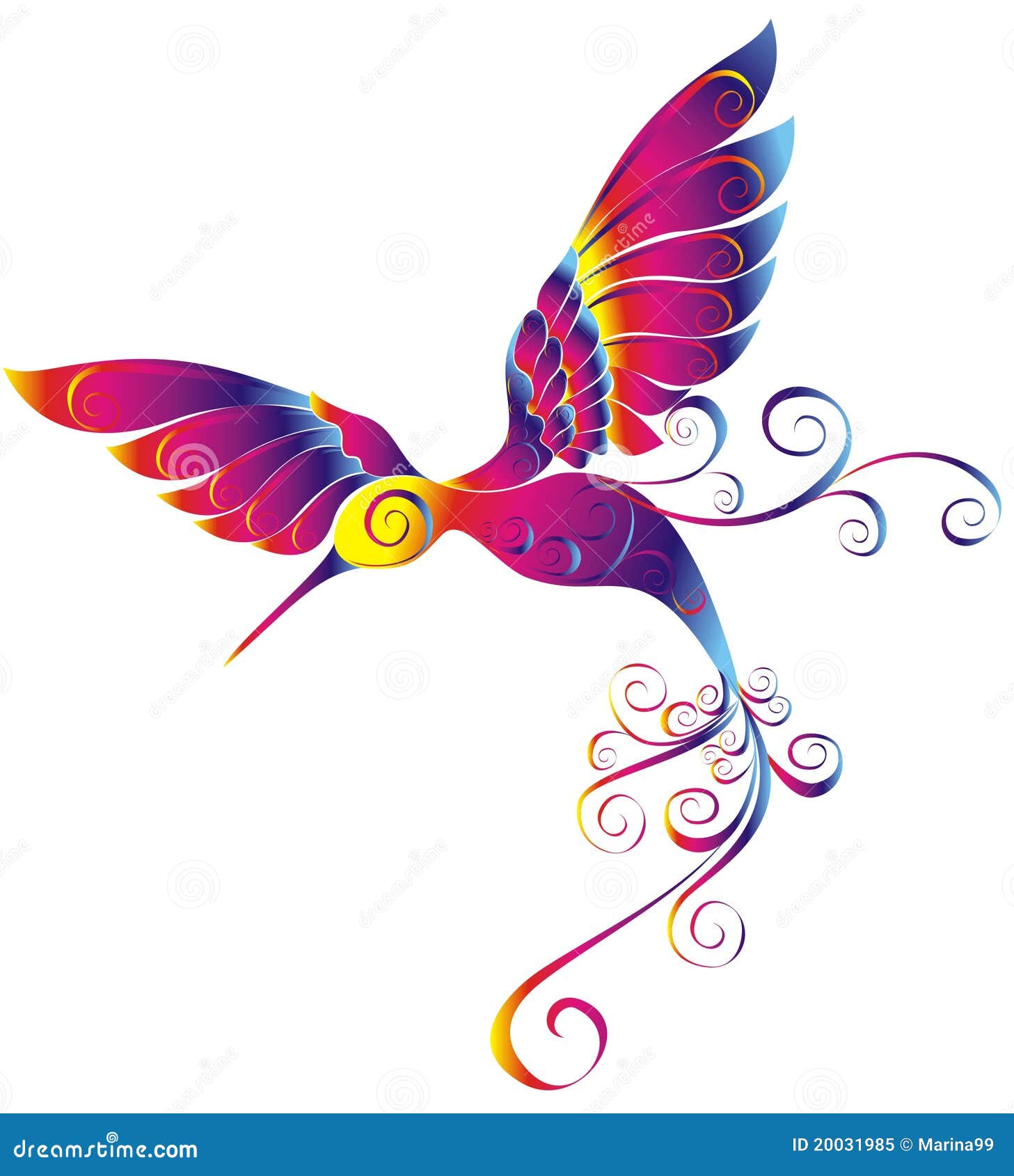 Kolibrie. Vector Illustratie Vector Illustratie - Illustration of ...