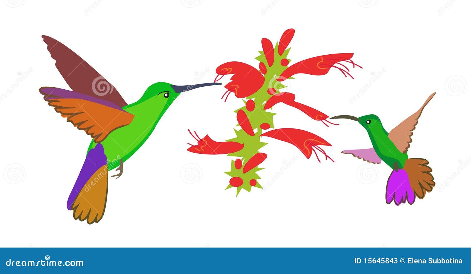 Kolibries vector illustratie. Illustration of kolibrie - 15645843