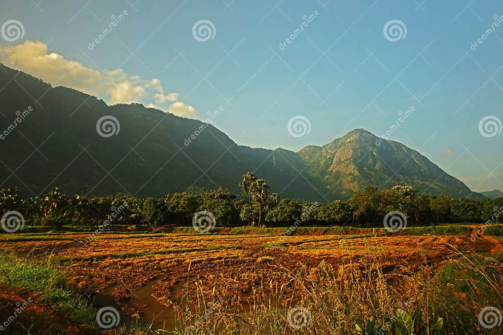 Kollengode View Point in Kollengode. Stock Photo - Image of nature ...