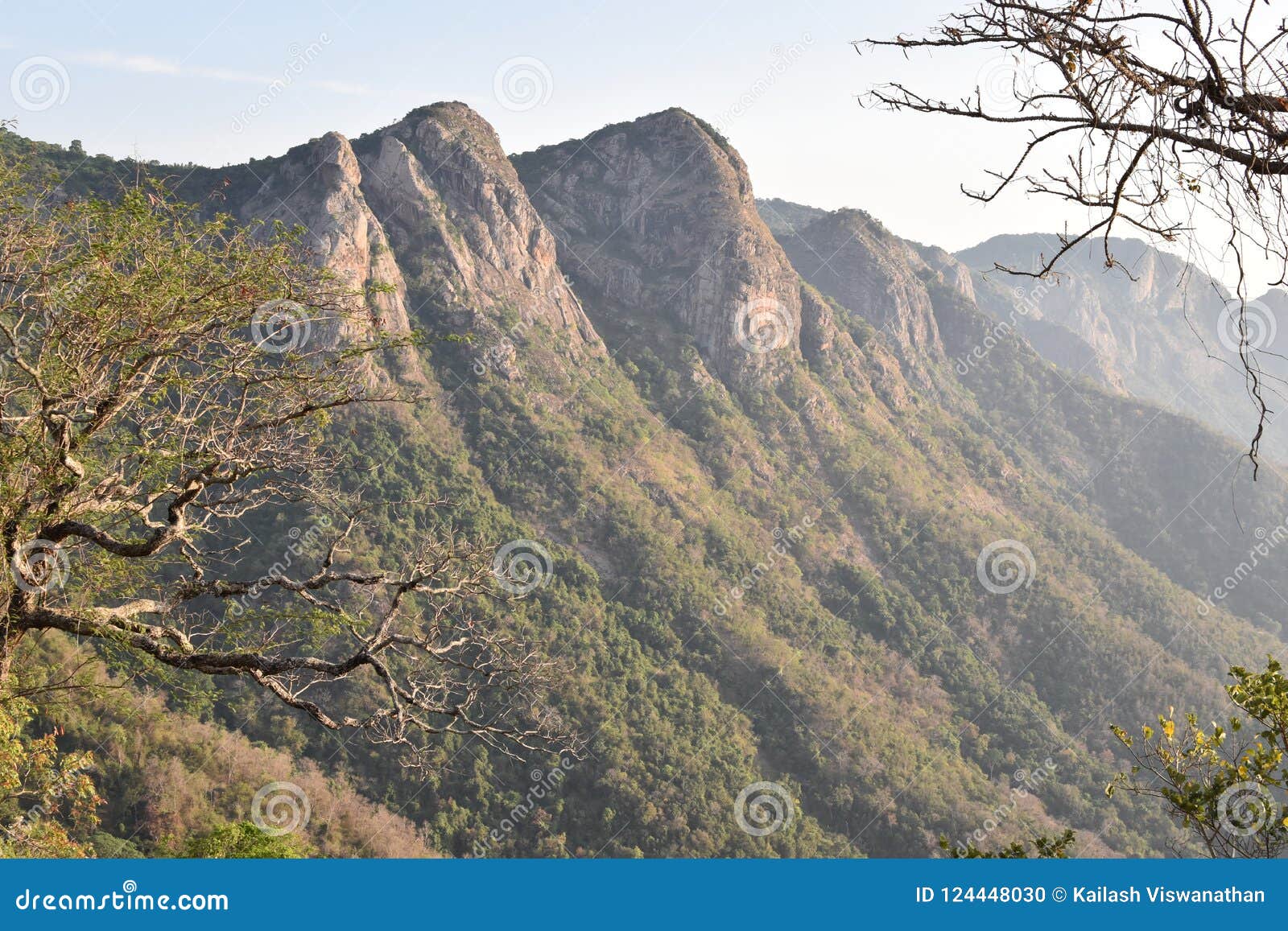 Kolli hills stock photo. Image of natural, nikon, prime - 124448030