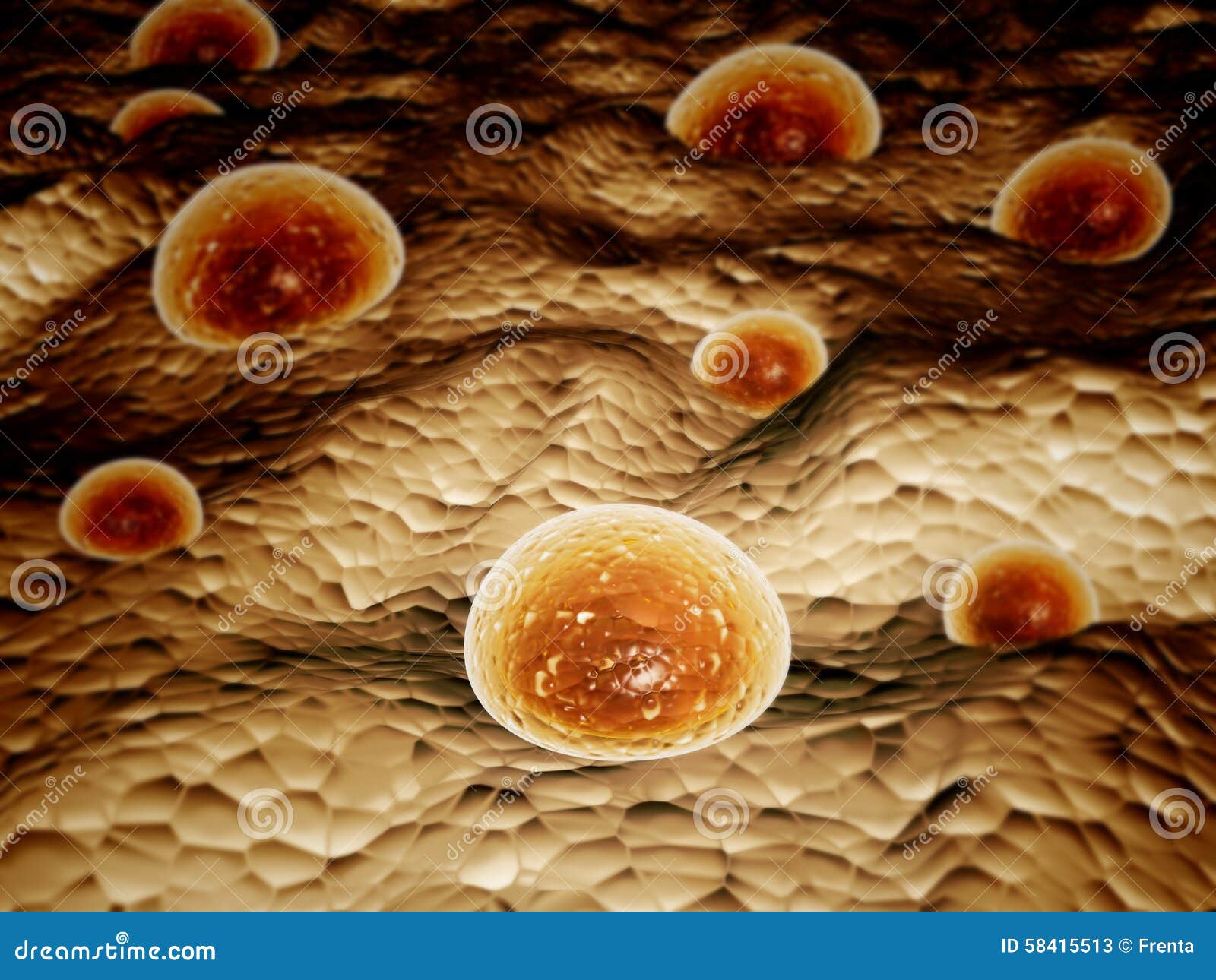 Kolonie Von Pathogenen Bakterien Stock Abbildung - Illustration von ...