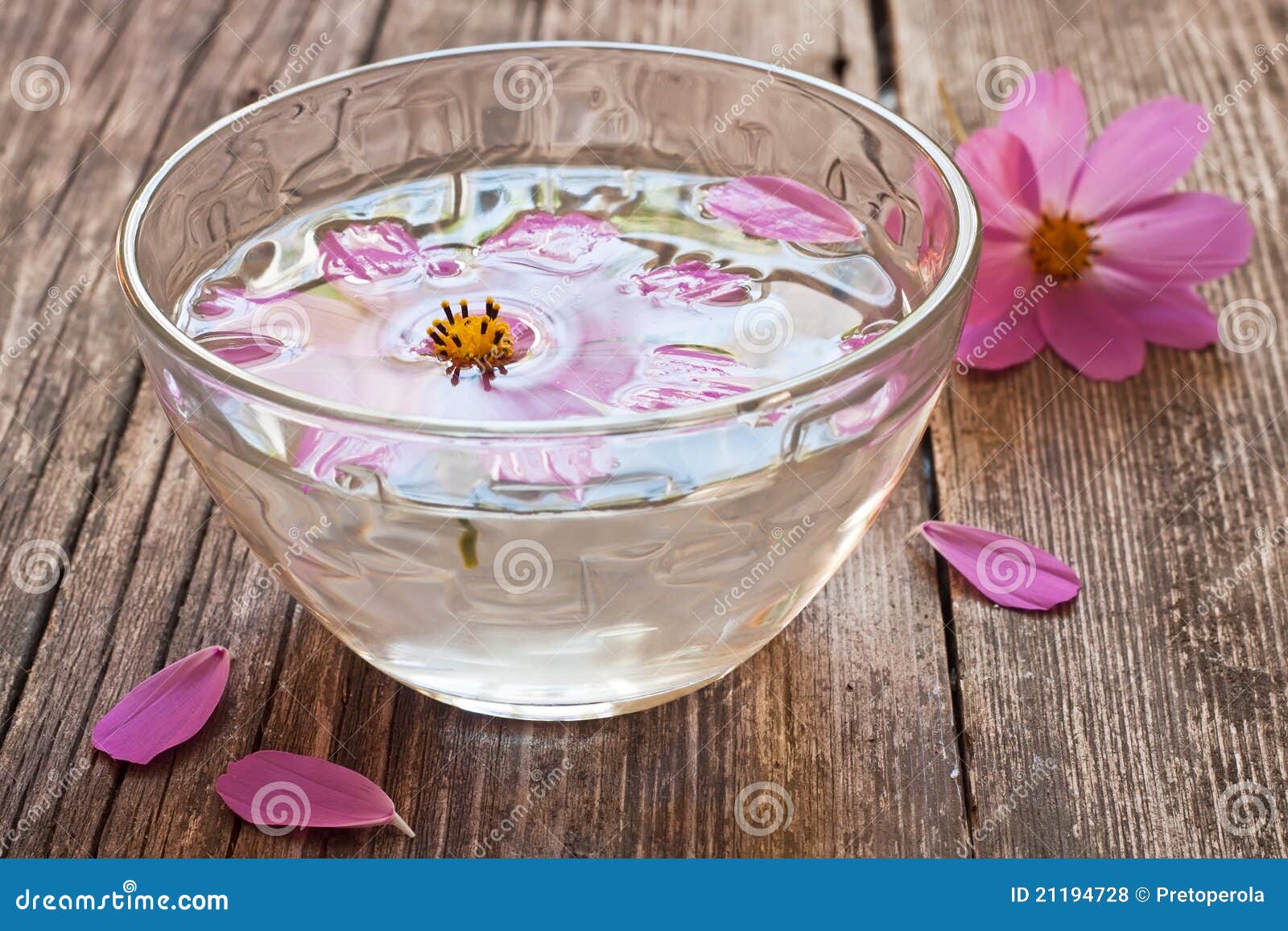 Kom Van Water En Drijvende Bloem Stock Foto - Image of parfum, decor ...