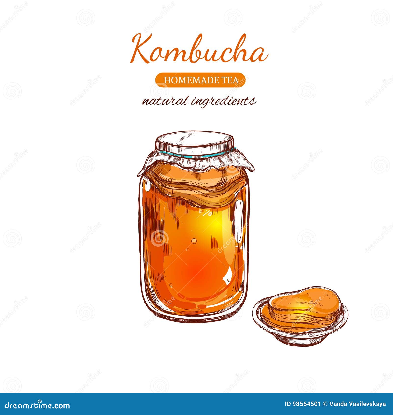 Kombucha Homemade Tea. Vector Hand Drawn Illustration. Stock Vector ...