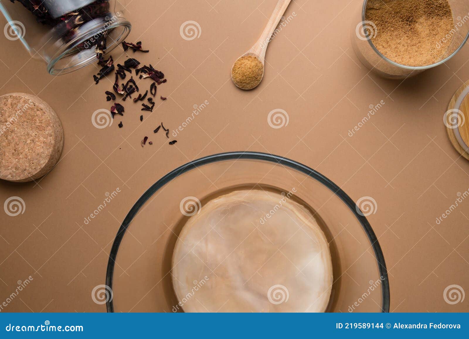 Kombucha SCOBY Disk Symbiotic Culture Of Bacteria And Yeast In The Hand ...