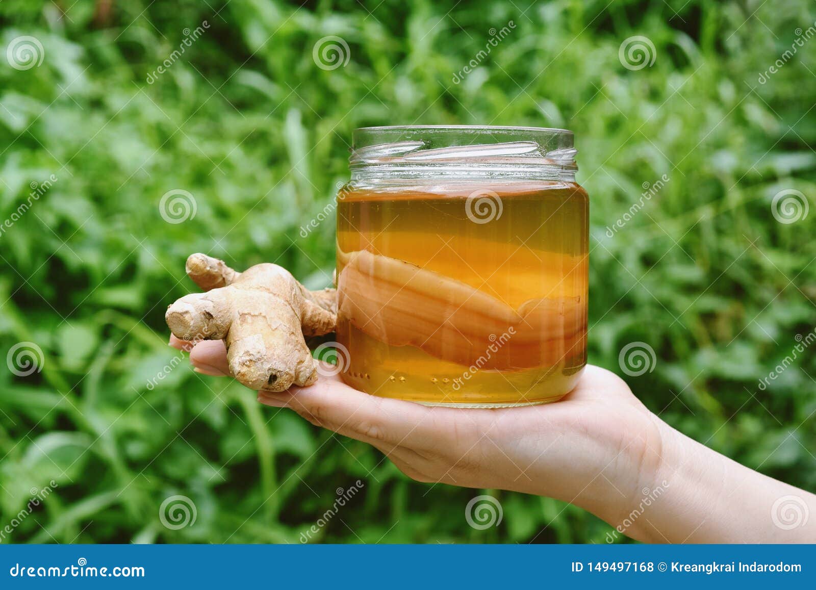 Kombucha Tea Healthy Fermented Food Second Fermented Tea With Organic