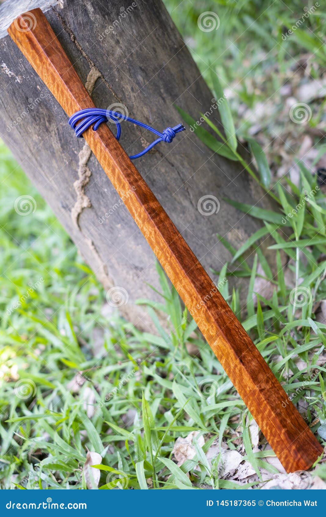 KomFaek wood baton stock image. Image of sceptre, battle - 145187365