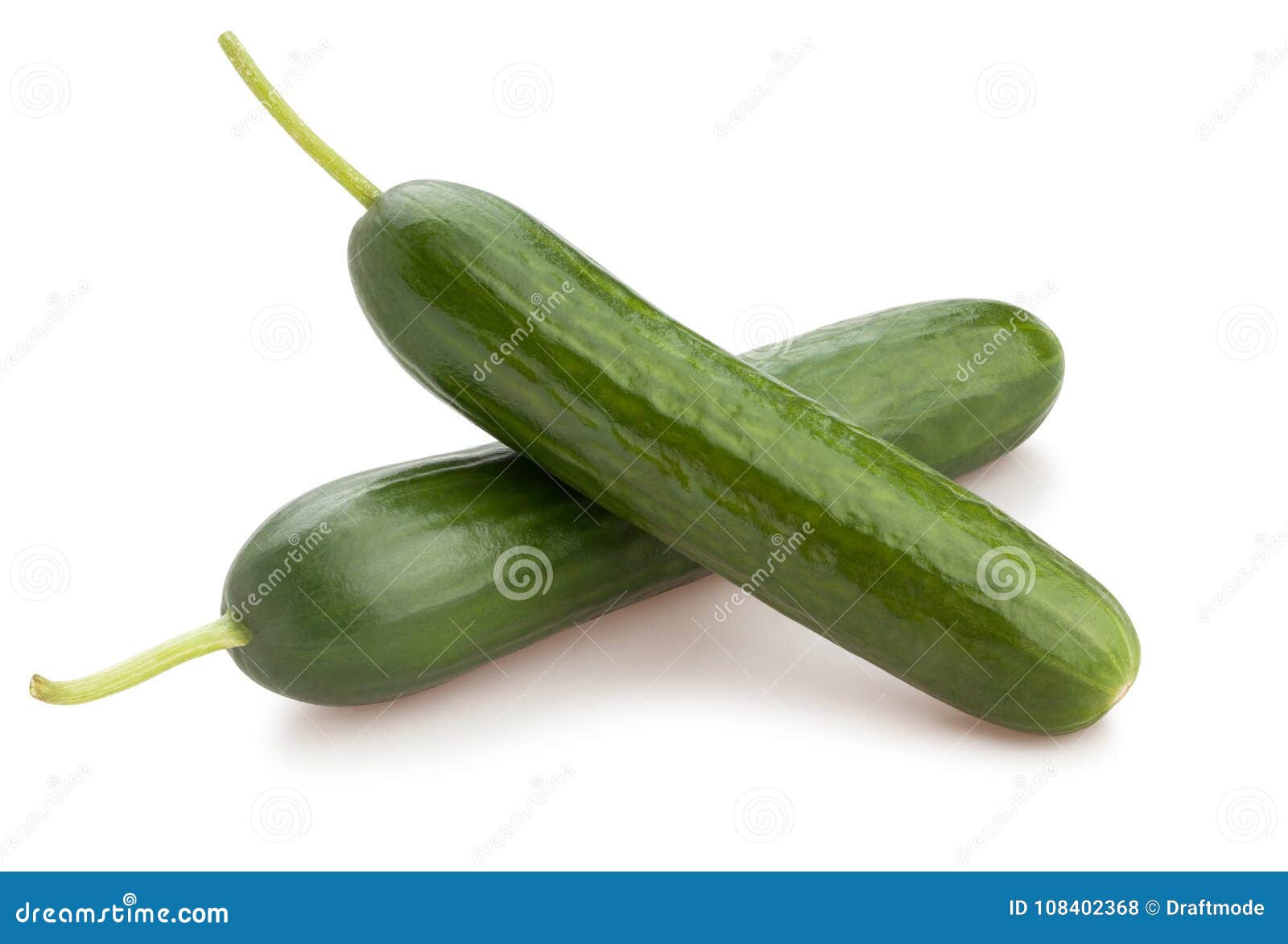 Komkommer stock foto. Image of niemand, achtergrond - 108402368