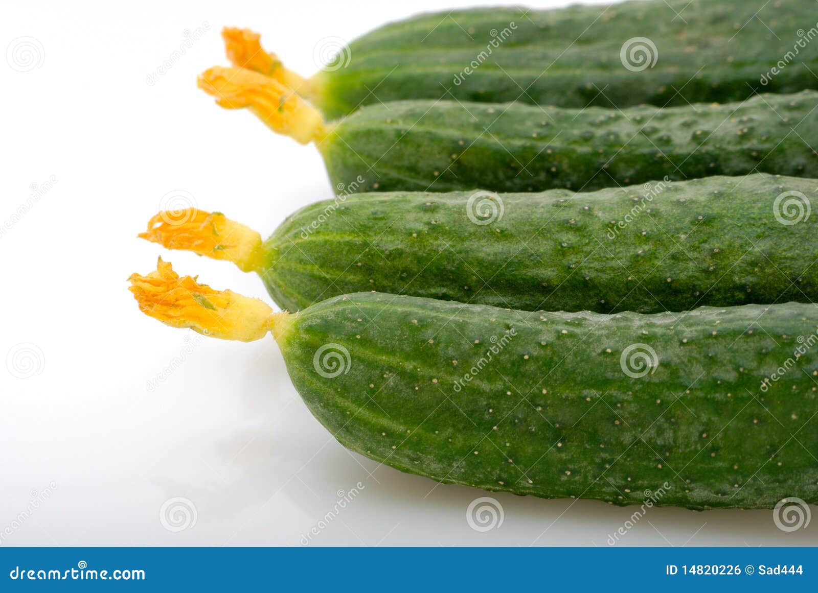 Komkommer stock foto. Image of niemand, voedsel, gastronomisch - 14820226