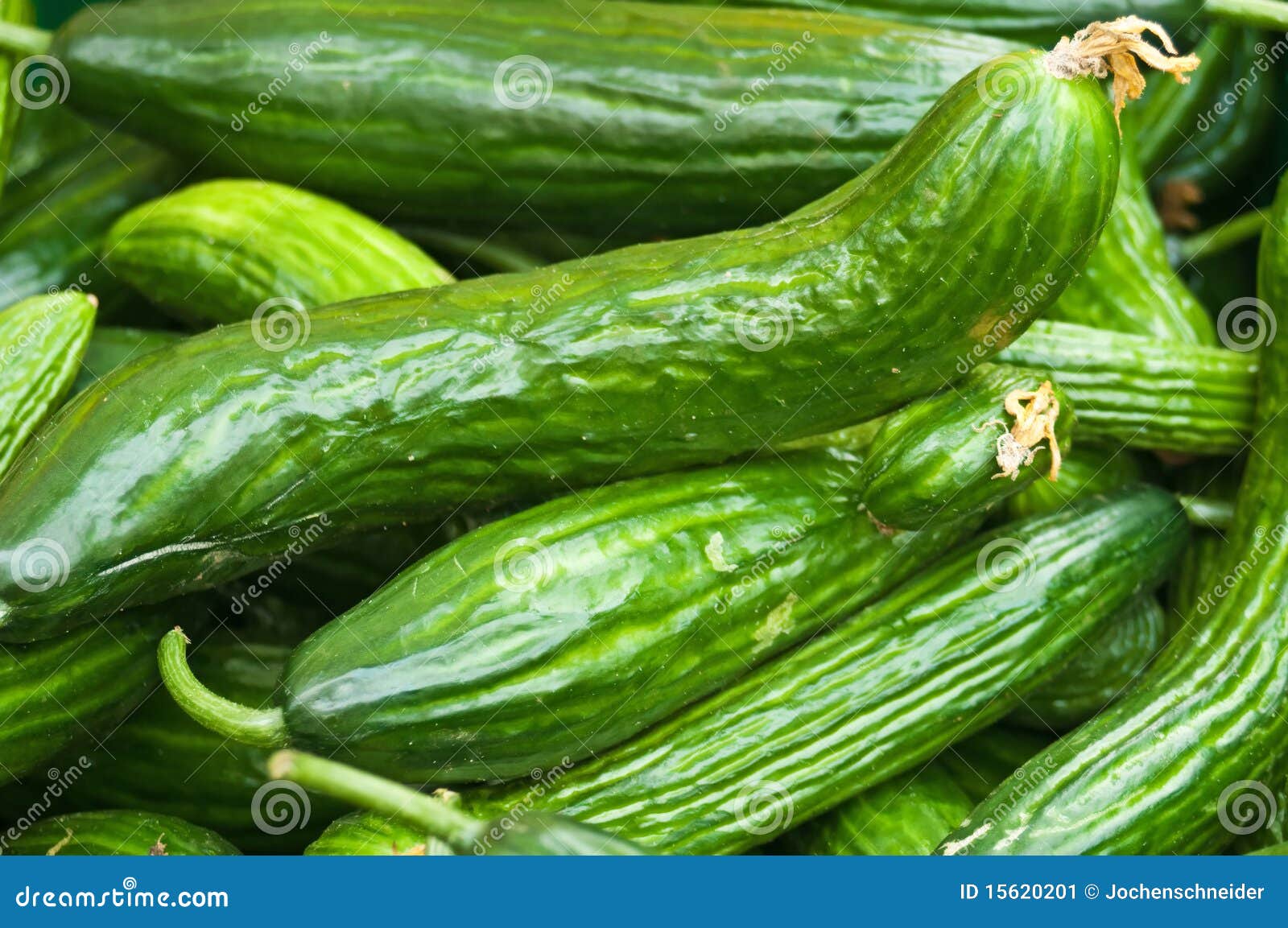 Komkommer stock afbeelding. Image of komkommer, gezond - 15620201