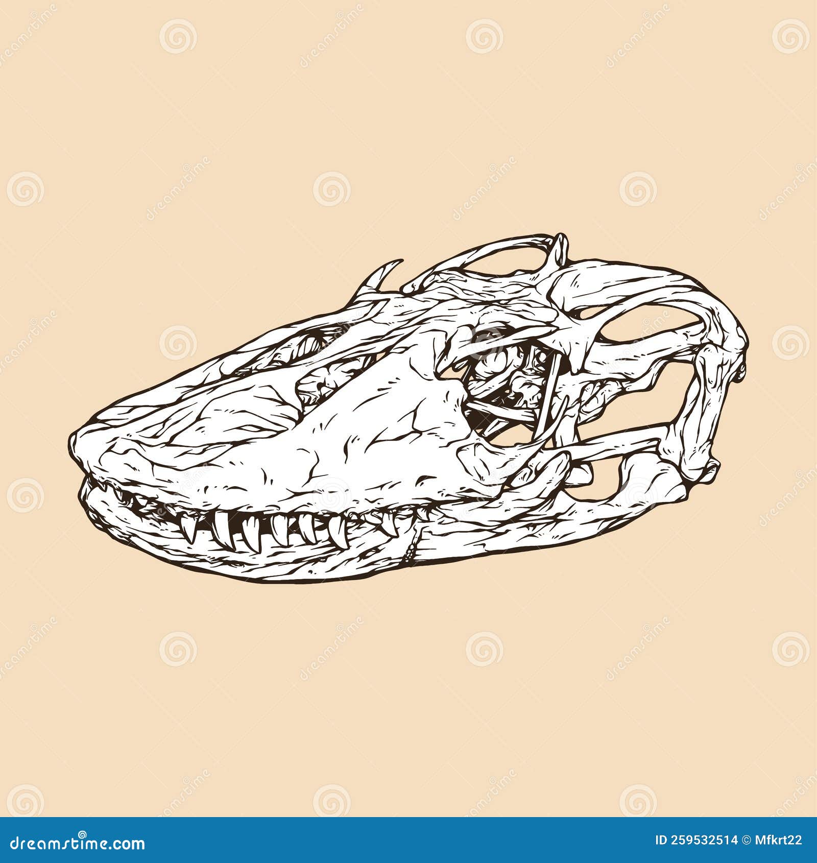 Komodo Dragon Skull Head Vector Illustration Stock Vector ...