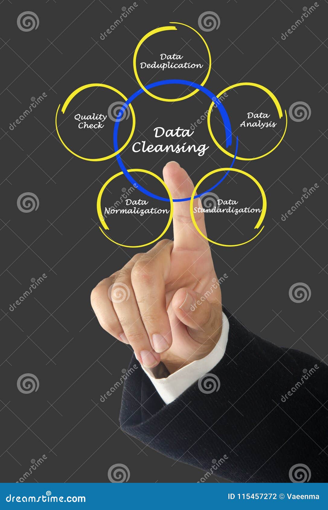 Komponenten Der Datenbereinigung Stockfoto - Bild von darstellung ...