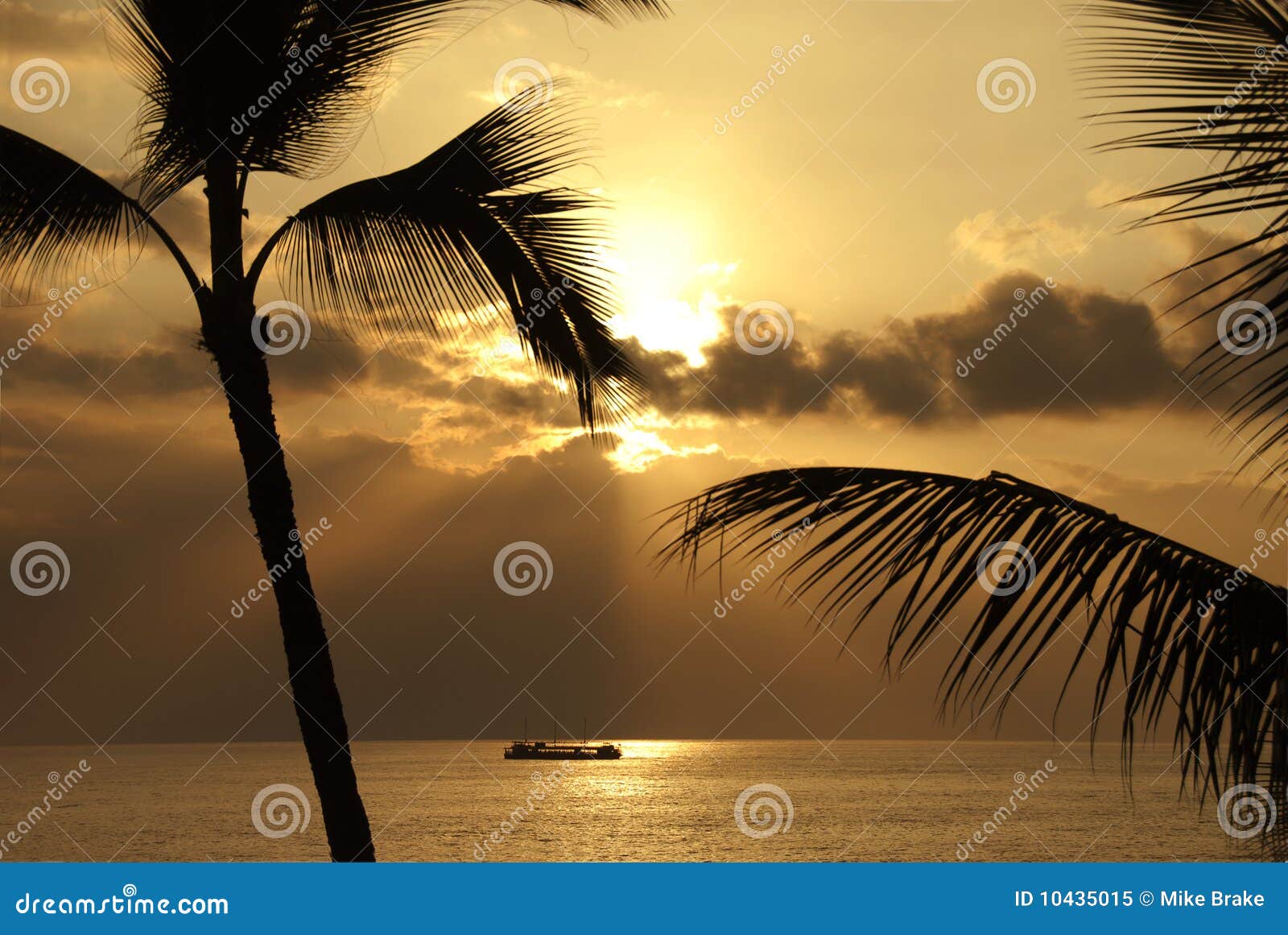 Kona Coast Sunset stock image. Image of tree, people - 10435015