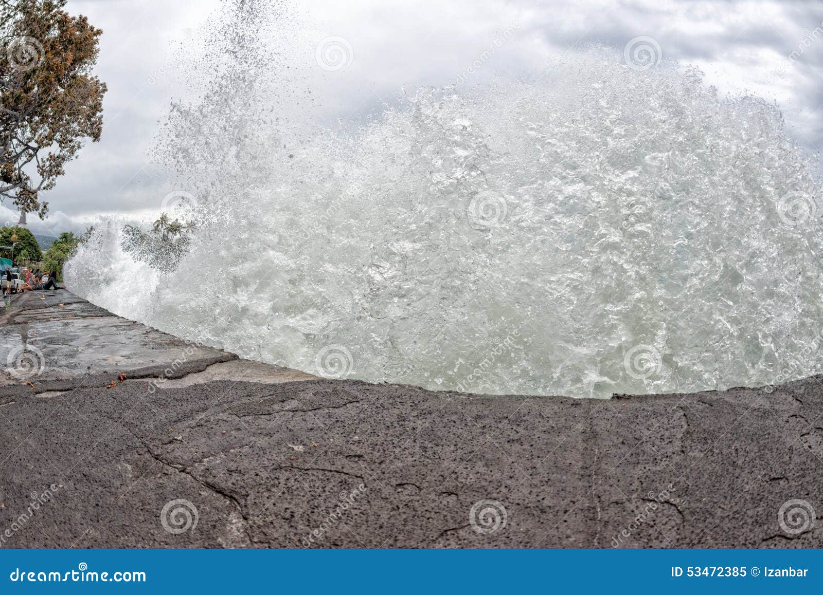 Kona Harbor Sea Waves in Big Island Stock Image - Image of hawaii, tree ...