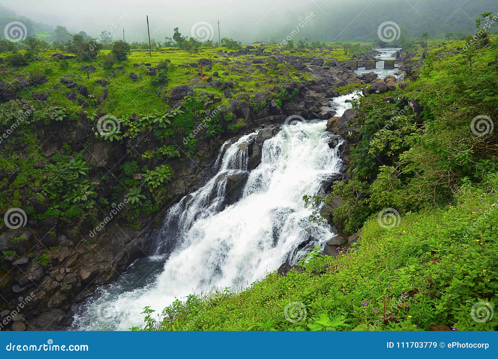 Kondhawale Waterfall Near Bhimashankar Stock Image - Image of mountain ...