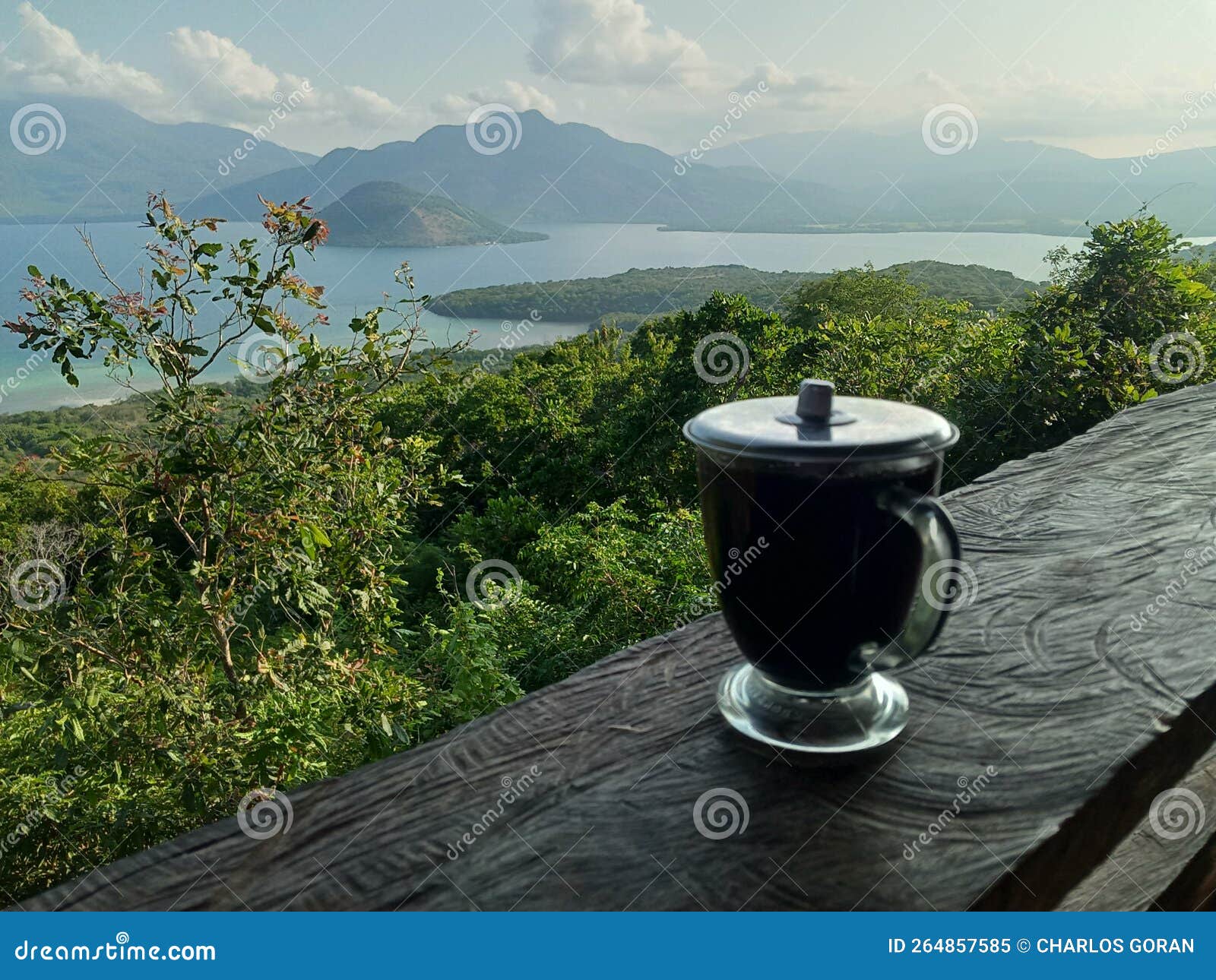 Konga Island stock image. Image of promontory, drinking - 264857585