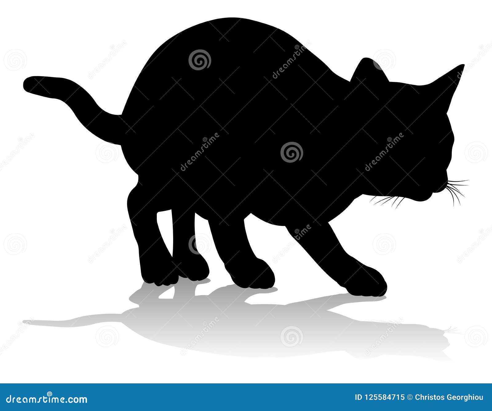Kontur Cat Pet Animal vektor illustrationer. Illustration av angus ...