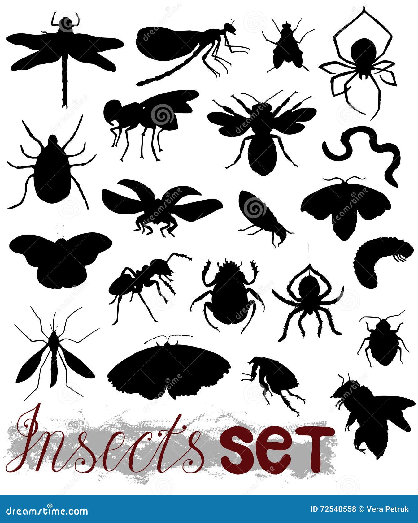 Konturer av olika kryp vektor illustrationer. Illustration av ...