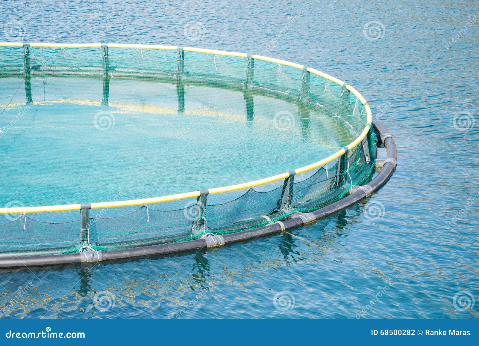 Kooien voor kweken van vis stock foto. Image of nave - 68500282