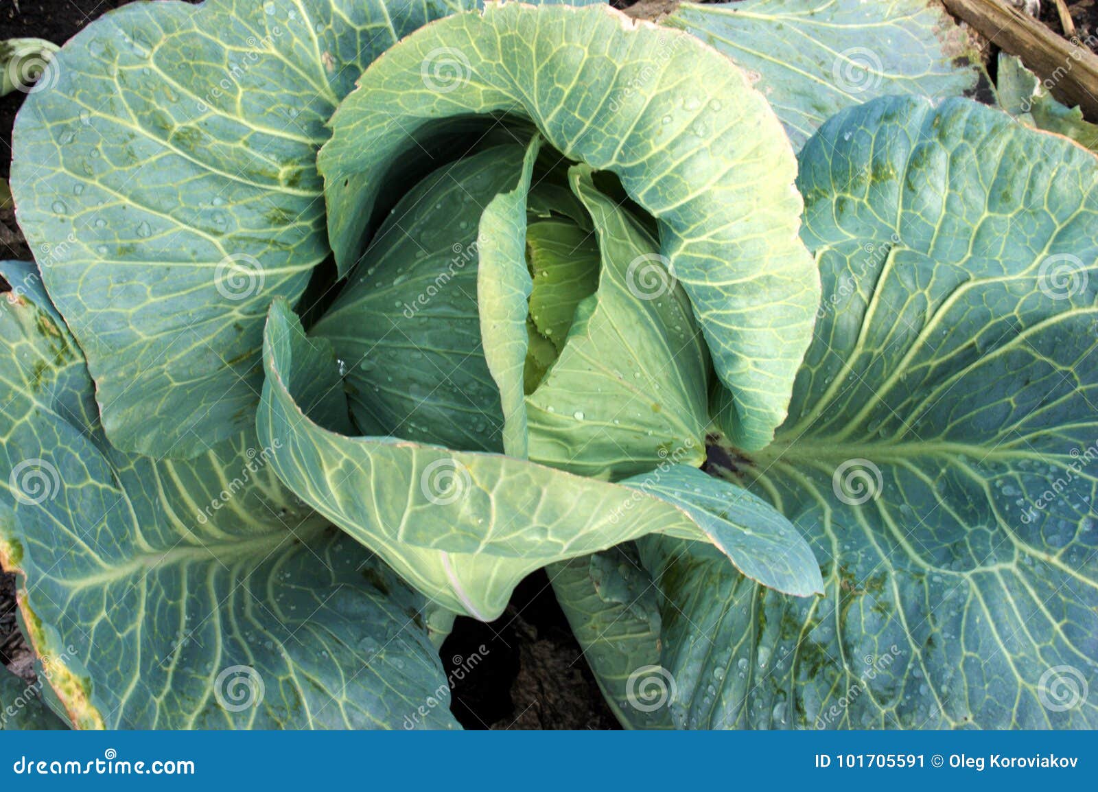 Kool stock afbeelding. Image of installatie, elementen - 101705591