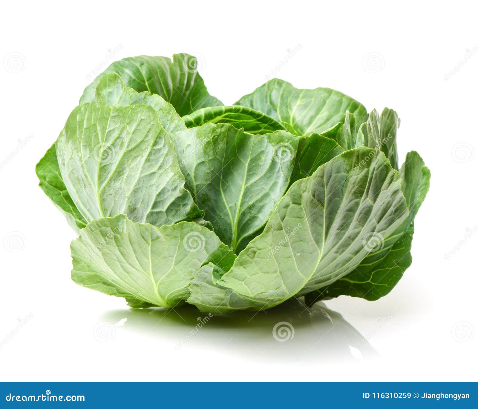 Kool stock afbeelding. Image of kleur, najaar, versheid - 116310259