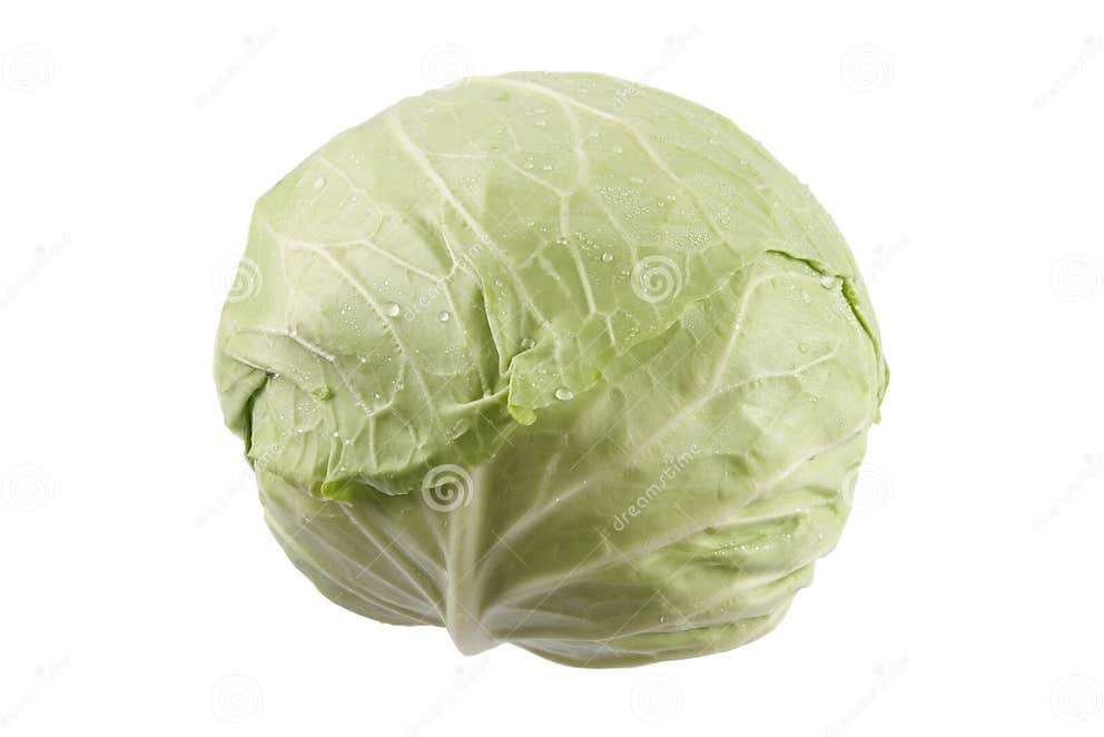 Kool stock foto. Image of voedsel, blad, bladeren, eten - 12103370