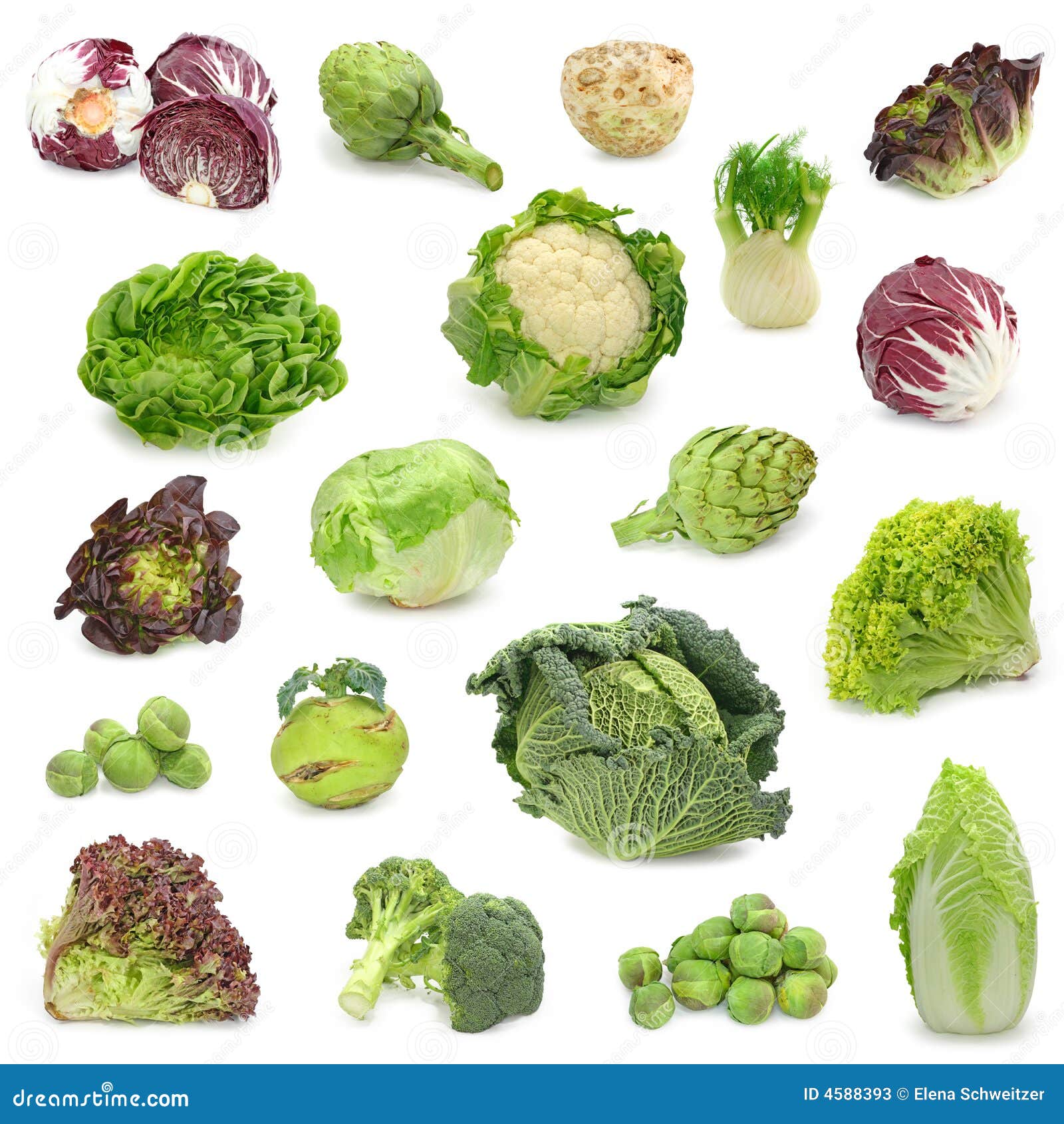 Kool En Groene Plantaardige Inzameling Stock Afbeelding - Image of ...