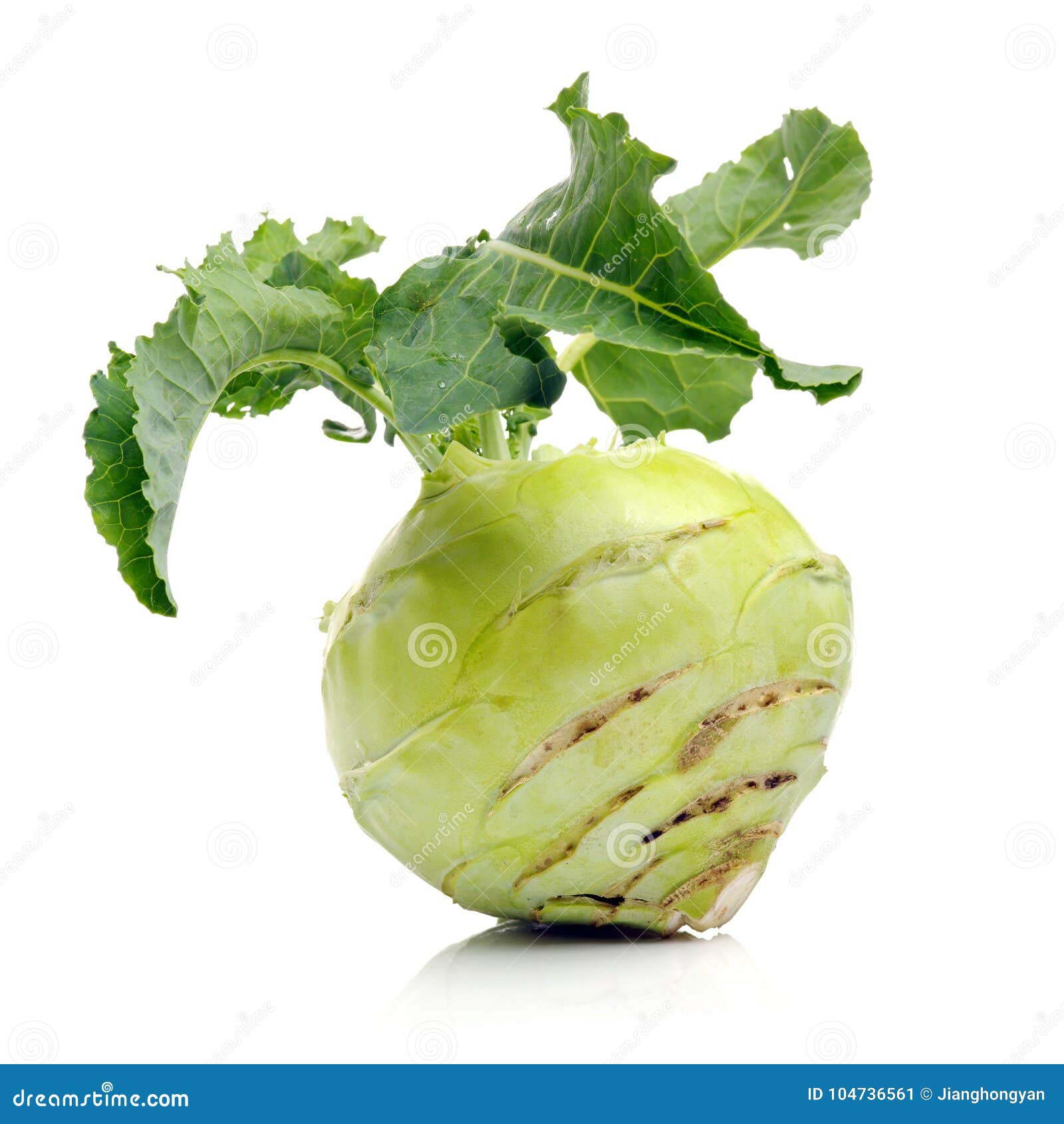 Koolrapen stock afbeelding. Image of raap, kool, gezond - 104736561