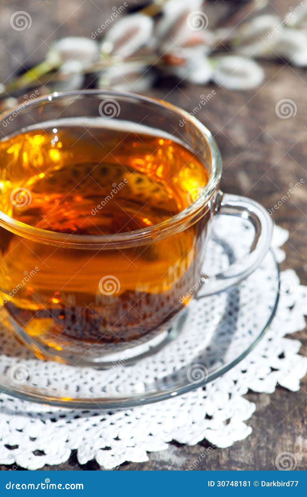 Kop thee met tak van wilg stock afbeelding. Image of vers - 30748181