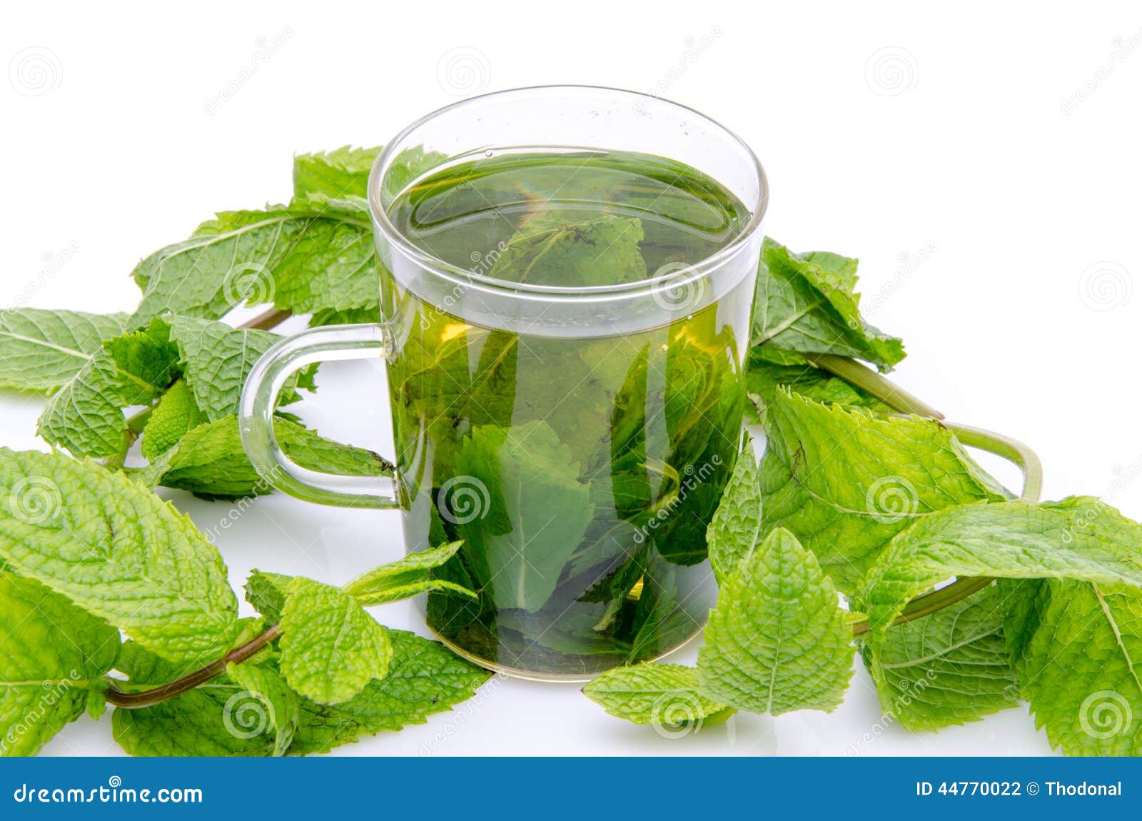 Kop Van Muntthee in Het Midden Van Verse Munt Stock Foto - Image of ...