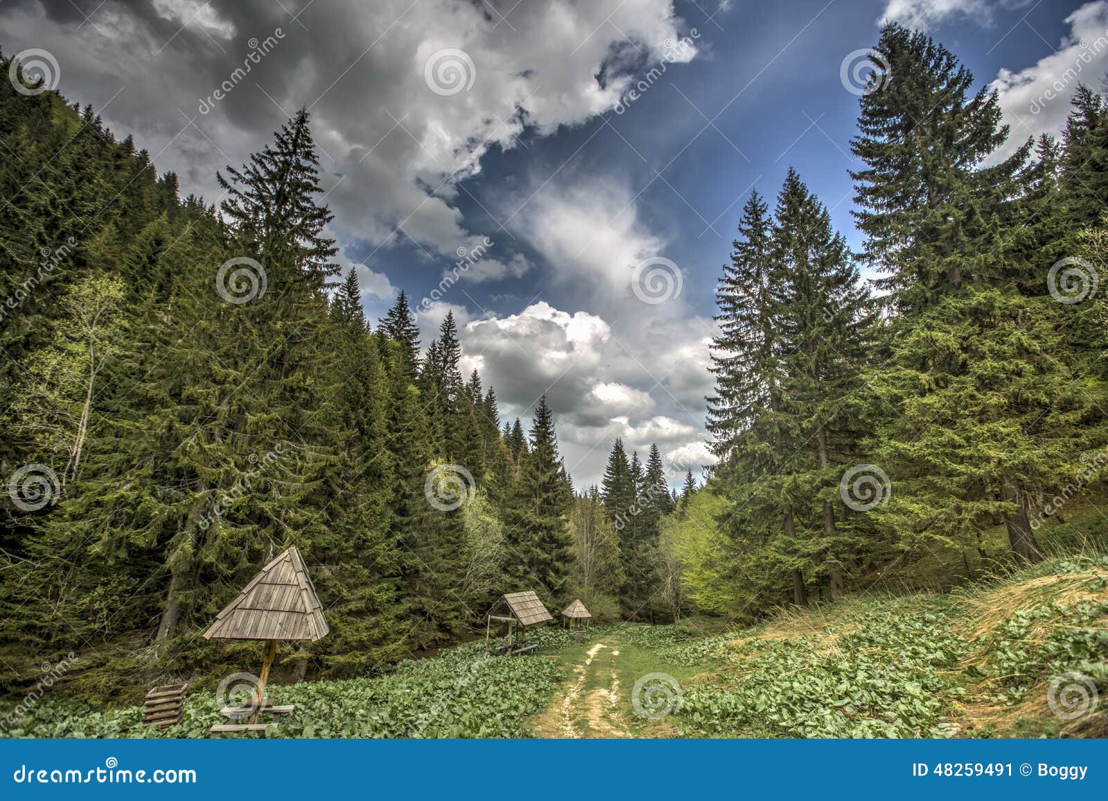 Kopaonik Mountain in Serbia Stock Image - Image of landscape, forest ...